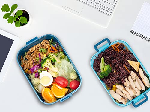 TWOKIWI Bento Box Adult Lunch Box – Lunch Containers for Adults – 7 Cup Bento Lunch Box with 3 Compartments & Fork, Microwave,Dishwasher & Freezer Safe (Ocean Blue)