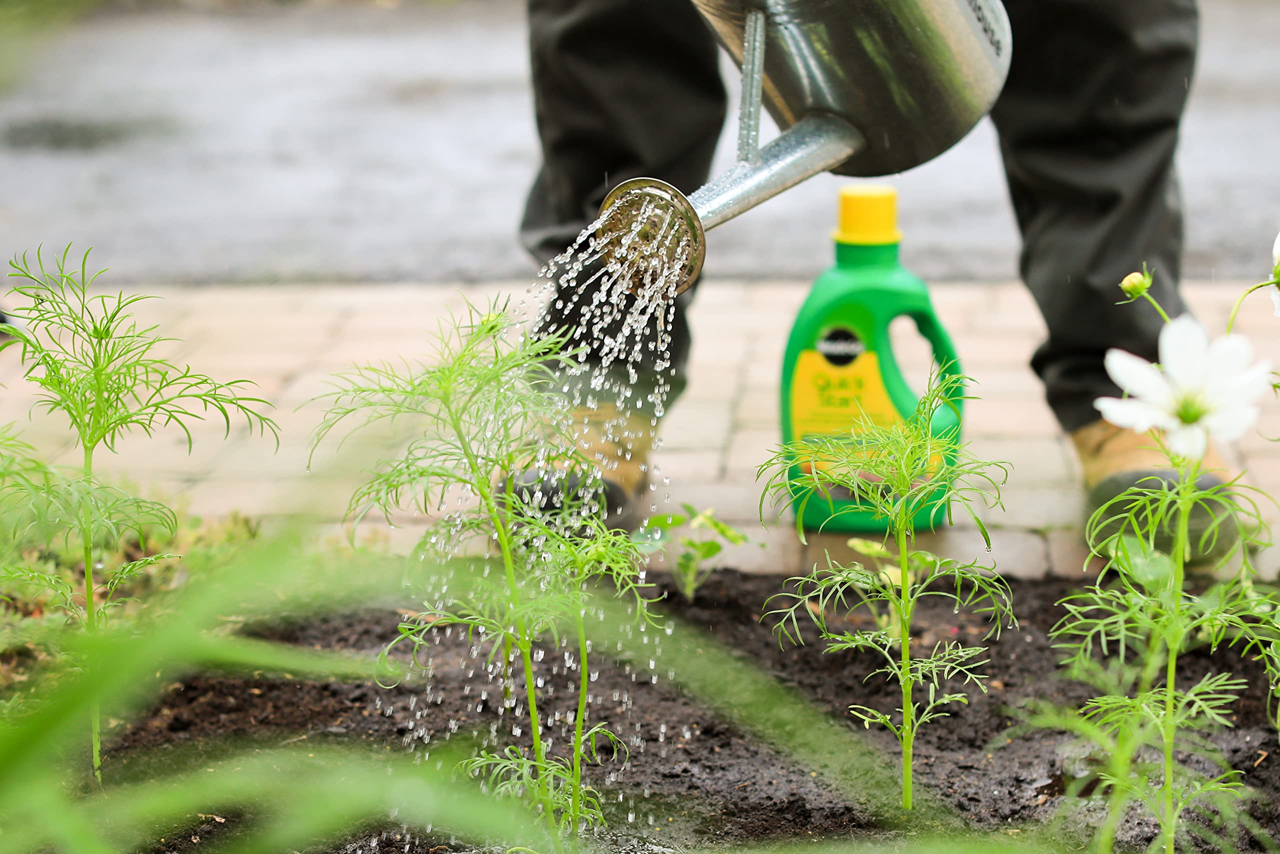 Quick Start - Planting and Transplant Solution 4-12-4, 1.42 L