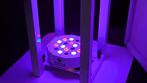 Rockville Battery PAR 50 Black, 10 Pack Rechargeable RGB Wash Lights with Charging Flight Case, Includes RF Remote, 10 Hour Battery Life, Perfect for Events, Parties & DJ Gigs