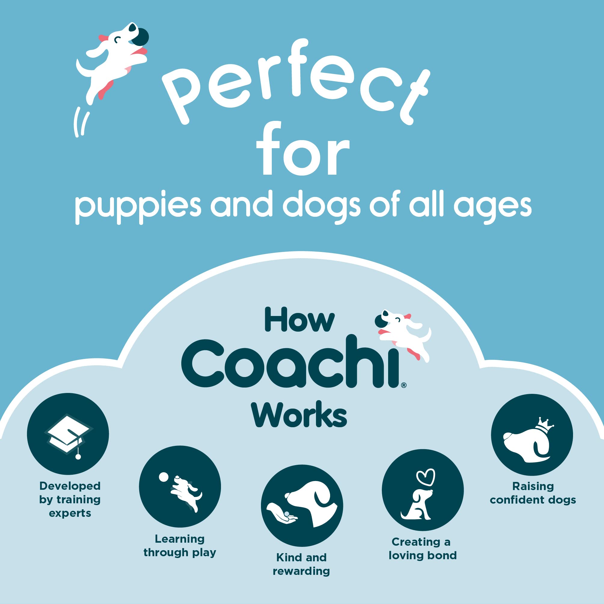 Company of Animals Target Stick for Dog Training, Perfect Dog Accessory for Clicker & Agility Training, Ideal for Puppy Training, Teaching Commands & Tricks, Easy to Use, Adjustable Length 15-70cm