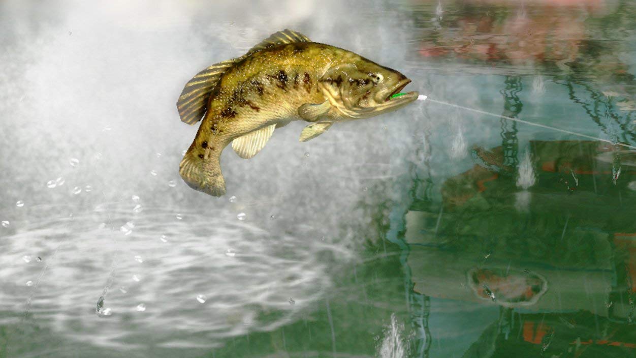 Rapala Pro Bass Fishing 2010 - Xbox 360 (Renewed)
