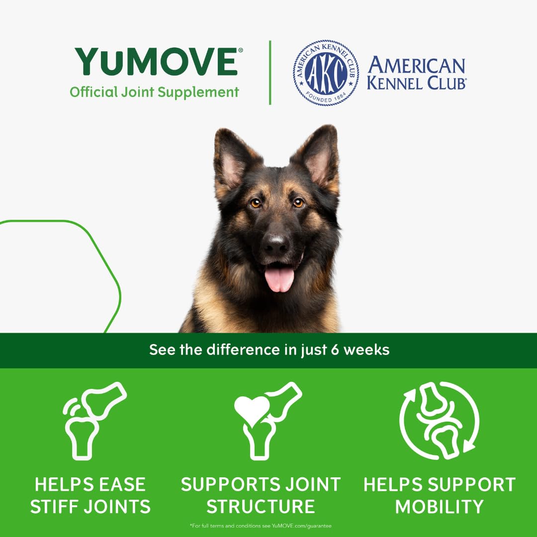 Lintbells YuMOVE Joint Supplement Dog Chews - Contains Glucosamine, Green Lipped Mussel - Natural Relief from Hip Ache, Stiff Joints - 1 Month’s Supply (Large & X-Large)