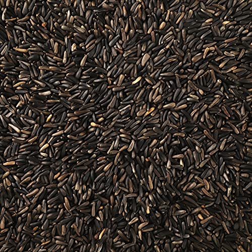 Happy Wings Nyjer/Thistle Seeds Wild Bird Food - (Pack of 2, 13 Ounce x 2) | Prefilled Sock | No Grow Seed | Bird Seeds for Wild Birds