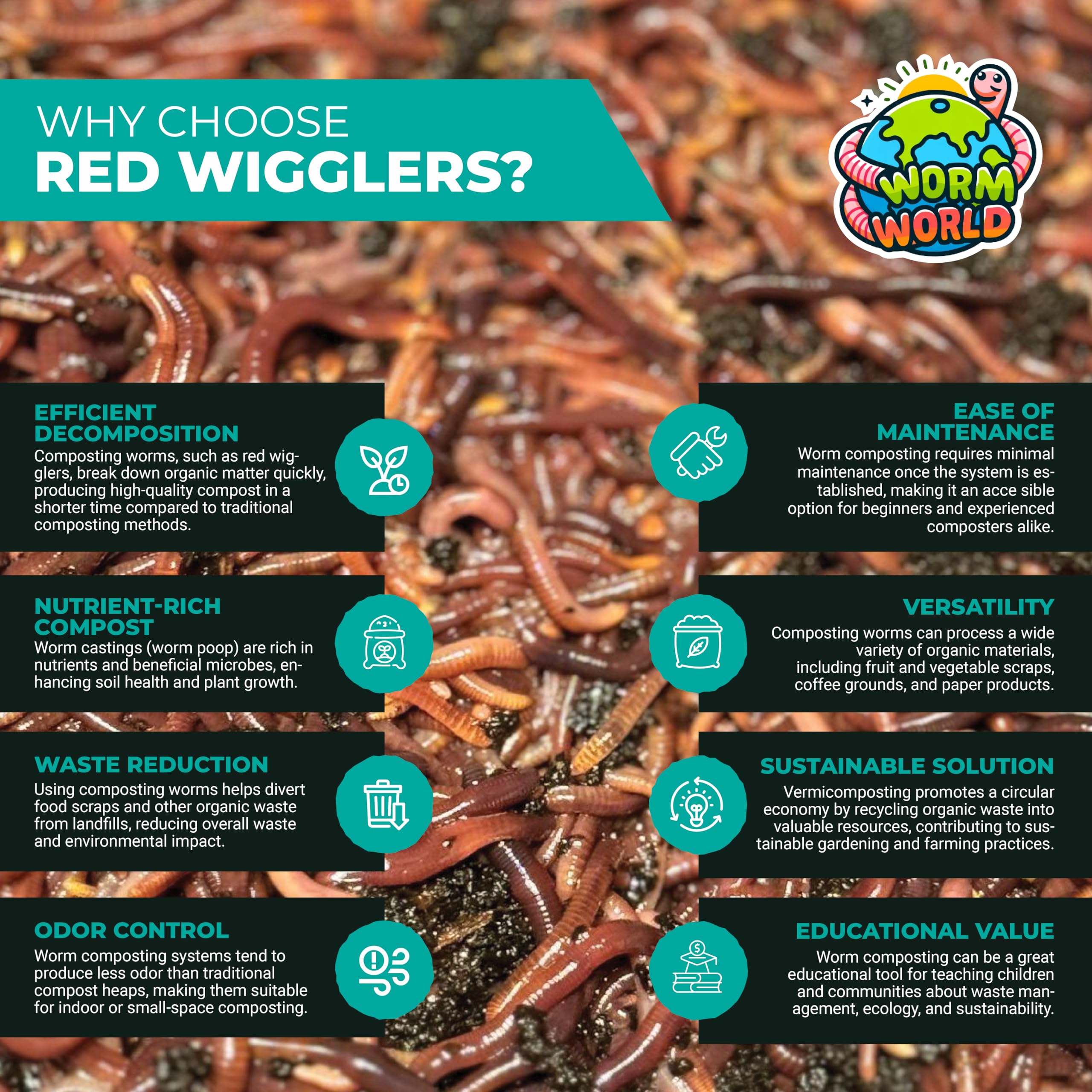 Generic 1000 Red Wigglers for Composting - Live Worms for Vermiculture and Organic Gardening - Perfect for Soil Enrichment and Waste Reduction, Brown