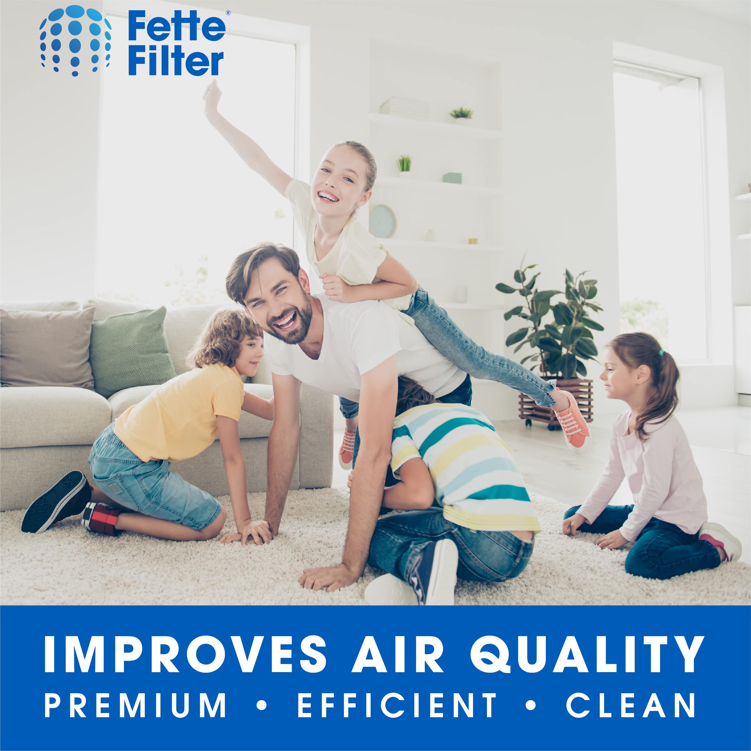 Fette Filter - D480 Premium True Hepa H13 Replacement Filter D4 Compatible with Winix D480 Air Purifier Part Number 1712-0100-02, 1712010002. 2 True Hepa and 8 Activated Carbon Filter