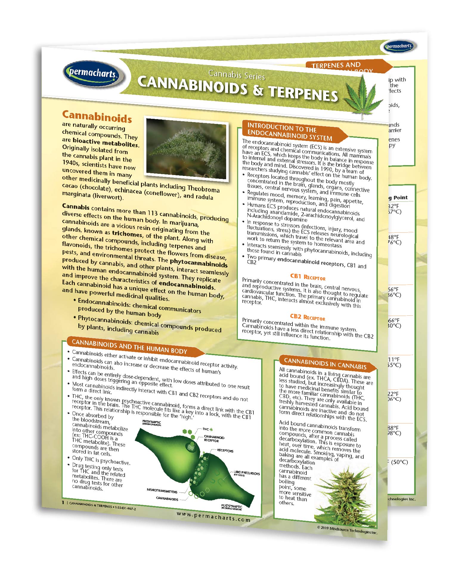 CBD Educational Charts - 8 Chart Bundle - Quick Reference Guides - Cannabinoid Educational Series by Permacharts