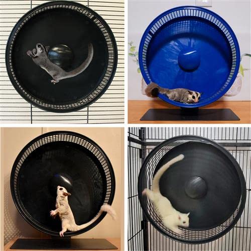 Silent Runner Pro | Sugar Glider Exercise Wheel (Black with Attachment)