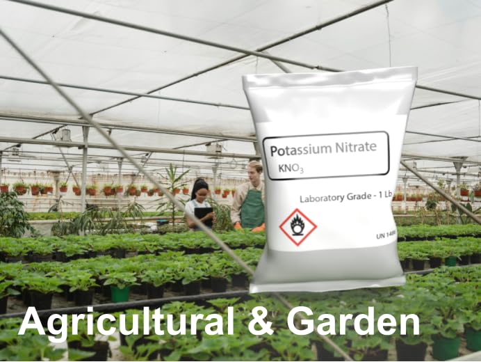 Generic Potassium Nitrate - KNO3 Powder - Laboratory Grade - 1 Pound | 1 Lb
