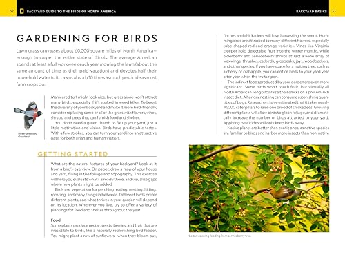 National Geographic Backyard Guide to the Birds of North America, 2nd Edition (National Geographic Backyard Guides)