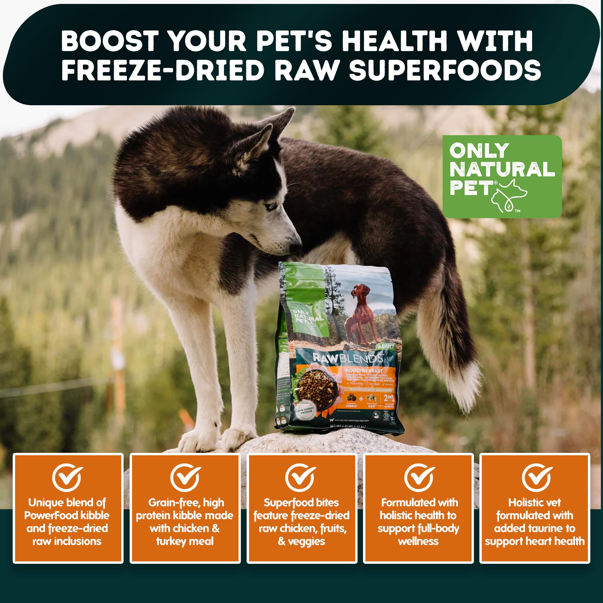 Only Natural Pet Raw Blends Grain-Free Dog Food, High Protein All-Natural Whole Ingredients & 100% Raw Meat Bites, Poultry Feast, Low Phosphorus, Dehydrated Mix for Large Breed & Picky Eaters, 4 lb