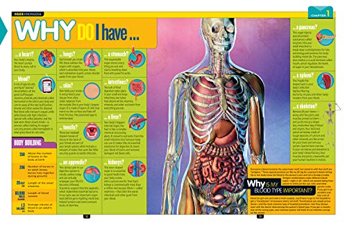 National Geographic Kids Why?: Over 1,111 Answers to Everything