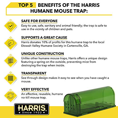 Harris Humane Mouse Trap, Catch and Release, 3-Pack