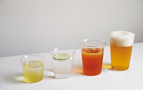 KINTO 8432 CAST Beer Glass, 15.2 fl oz (430 ml), Heat-resistant Glass, Microwave and Dishwasher Safe