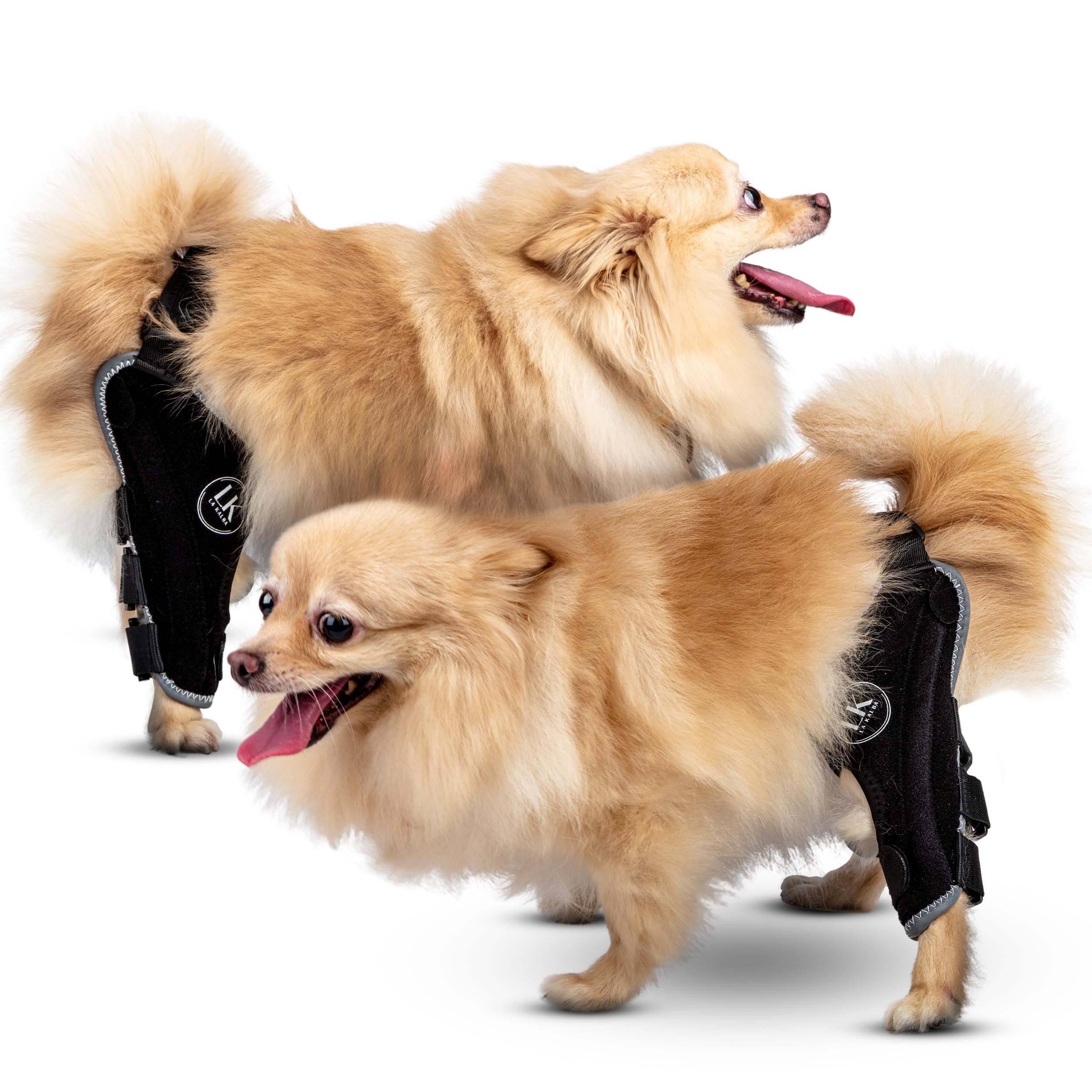 LA KALBA Dog Knee Brace for Torn Acl Hind Leg - Neoprene Dog Leg Braces for Back Leg with Aluminium Splints, ACL Knee Brace for Dogs with Reflective Trims (Left Leg - Small)