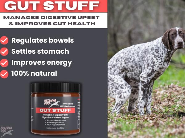 Gut Stuff by Helluva Dog β Digestive Aid Meal Topper for Active Sporting Dogs β Pumpkin & Slippery Elm for Dog's Upset Stomach & Better Gut Health, Packed with Fiber - 3oz