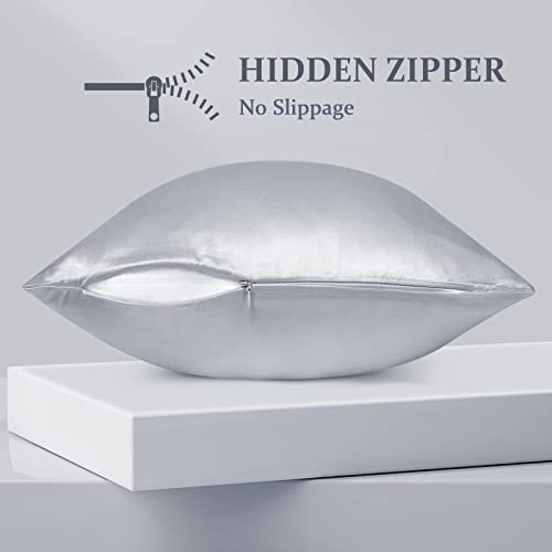 LULUSILK Silvergrey Silk Pillowcase for Hair and Skin, Mulberry Silk Pillow Case with Zipper Closure, Standard Size, Pack of 1