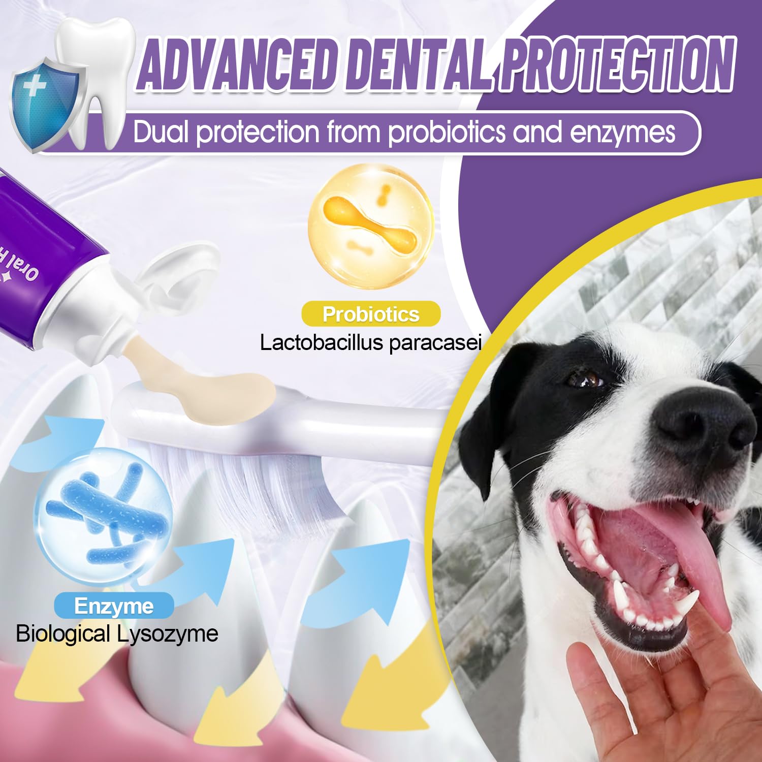 Food Grade Cat & Dog Toothpaste-Enzyme and Probiotic Toothpaste, Enriched with VitaminB. Controls Plaque, Tartar and Bad Breath. Safe & Fresh Toothpaste for Cat and Dog. 3.52oz-Coconut Chicken Flavor
