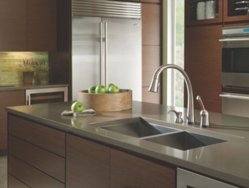 Delta Faucet Pilar Kitchen Soap Dispenser for Kitchen Sinks, Stainless RP50781SS & RP30395 Delta Plumbing Replacement Parts, Chrome