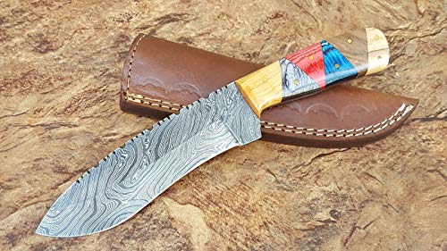 Carepro Hand Forged Damascus Steel Knife Colored Wood Handle Custom Made Hunting Knife