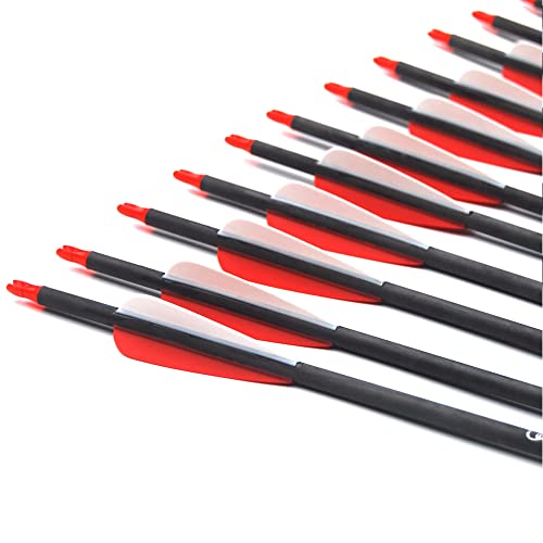 COLORFUL EAGLE 28/30/31 Inches Spine 300/400 Pure Carbon Arrows with Red and White Color for Recurve/Compound Bows Archery Hunting (Pack of 12) (Spine 400, 28 Inches)