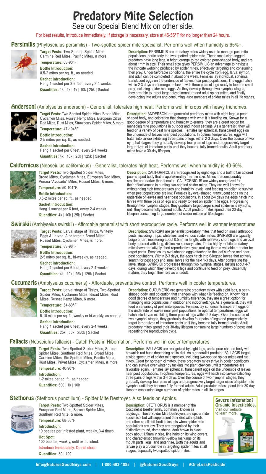Natures Good Guys - Amblyseius swirskii (10,000 Mites per Bottle)