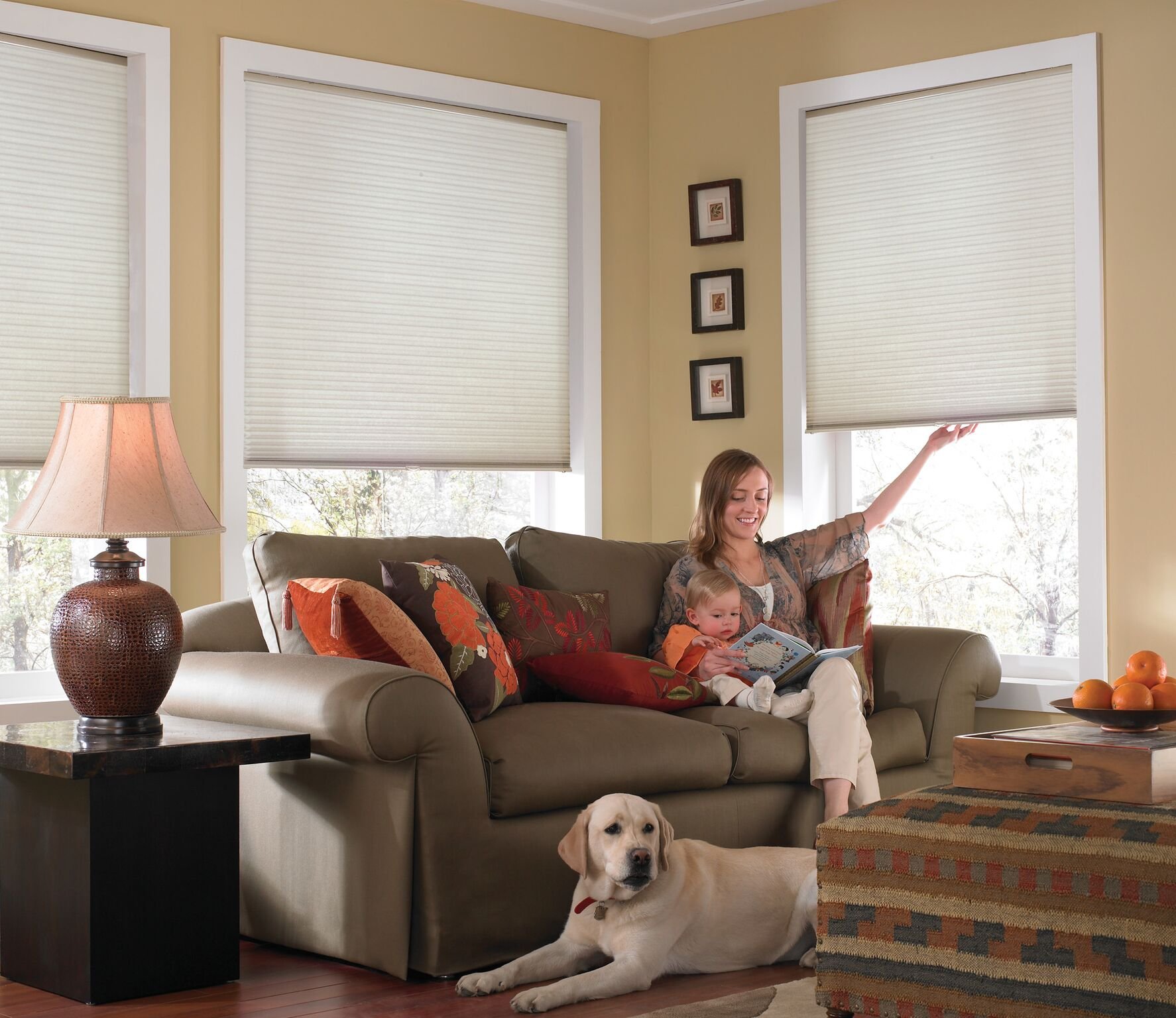 Cordless Cellular Honeycomb Shade, 30 1/8 to 36 Wide x 24 to 72 High, Cool White, Light Filtering