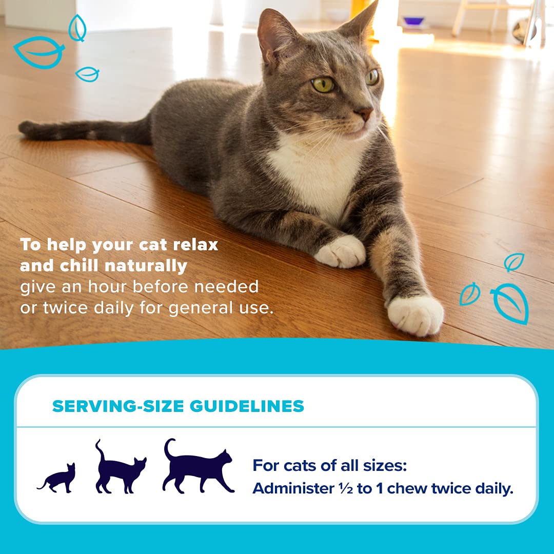 Okoa Pet “Chill, Kitty Kitty” Hemp Calming Supplement for Cats - Cat Anxiety Support Soft Chews for Reduced Stress, Thunder, Travel, & Separation - Salmon Flavor Hemp Treats - Vet Formulated, USA Made