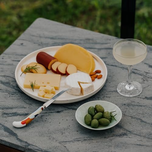 Dr.HOWS Victoria Cheese Knife Cutters for Block, Cheese Knife That Cuts All Cheese Types,Modern Designed, Clour Handles, Stainless Silverware Tableware