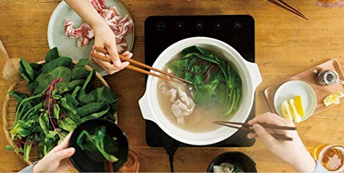 KAKOMI IH Donabe 1.2L Traditional Japanese Clay Pot - Steaming, Simmering, Stewing, Suitable for various cooking methods by Kinto
