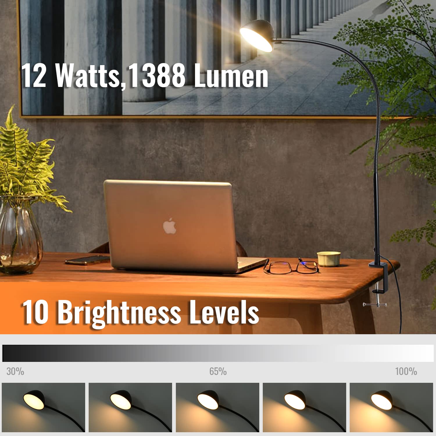 CeSunlight Clamp Lamp, Clip on Lamp, Desk Lamp with Clamp, 12W, 1300 LMS, 3 Color Modes, 10 Brightness Levels, 30 Inches Long Gooseneck Light, Perfect for Sewing, Reading, Home, Office