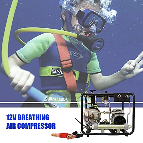 HPDAVV 12V 550W Air Compressor for Snorkeling Hookah Diving Compressor 8bar / 115psi with 50ft Hose & Respirator,Two Air Outlets,US After-Sales Service,Operational Video (A:Black)