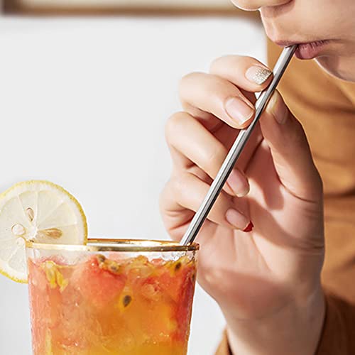 ERCRYSTO Reusable Stainless Steel Long Handle Straws Spoon, 6 Pieces 8.6", with 1 Cleaning Brush (circular)