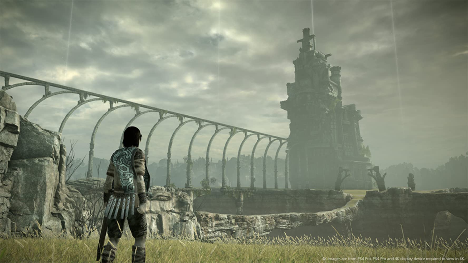 Shadow of the Colossus - PlayStation 4 (AU Import)