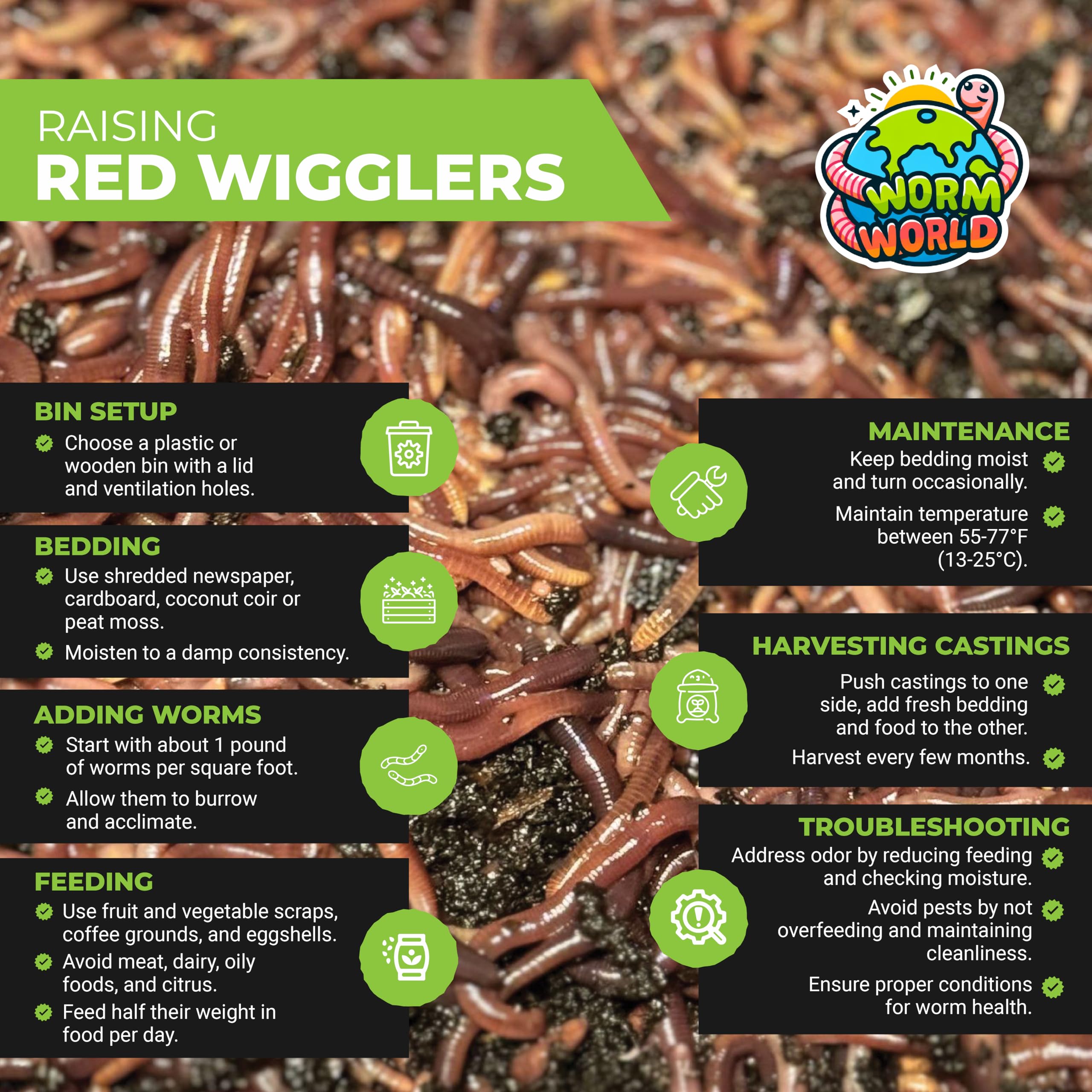 Generic 1000 Red Wigglers for Composting - Live Worms for Vermiculture and Organic Gardening - Perfect for Soil Enrichment and Waste Reduction, Brown