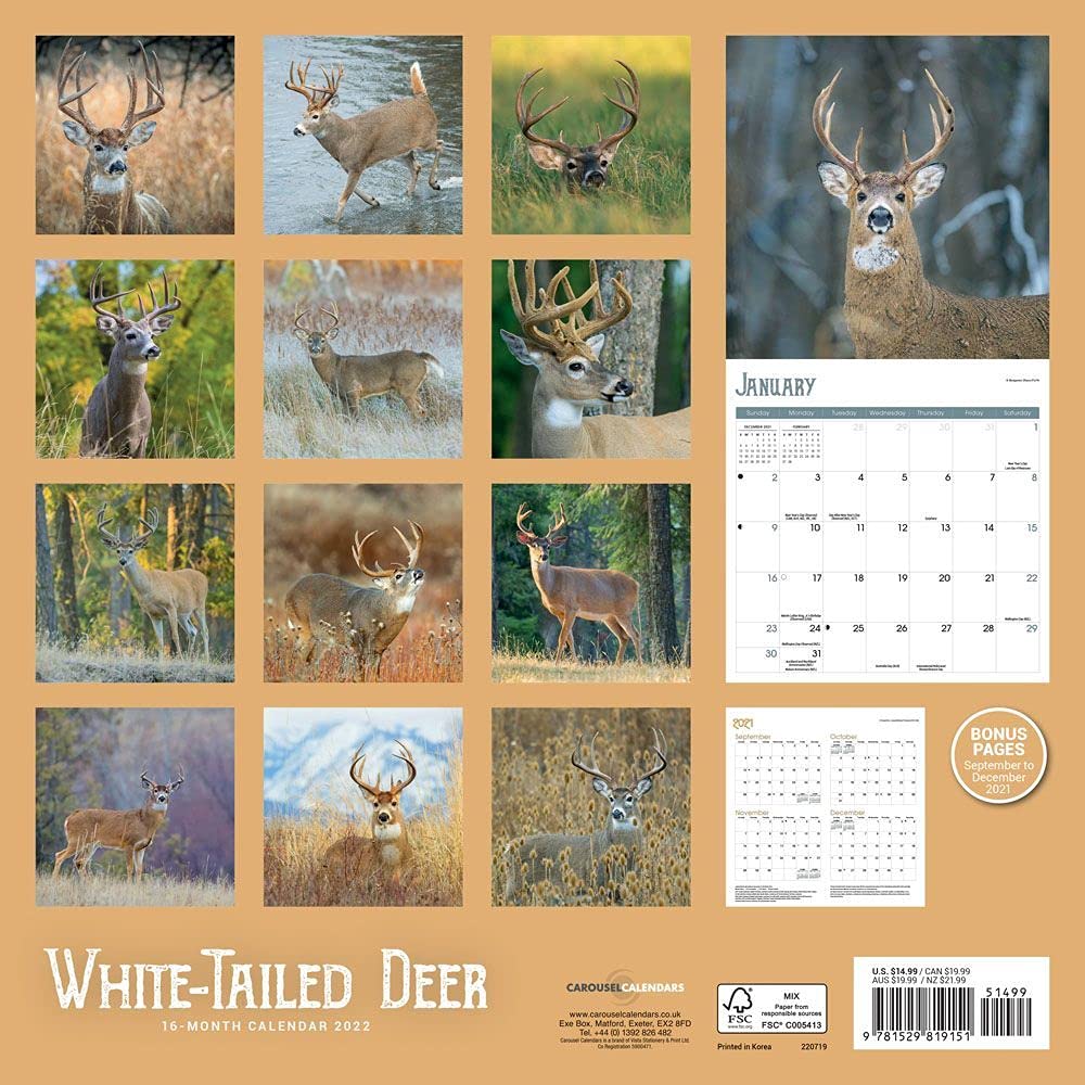 Carousel Calendars, White Tailed Deer 2022 Wall Calendar