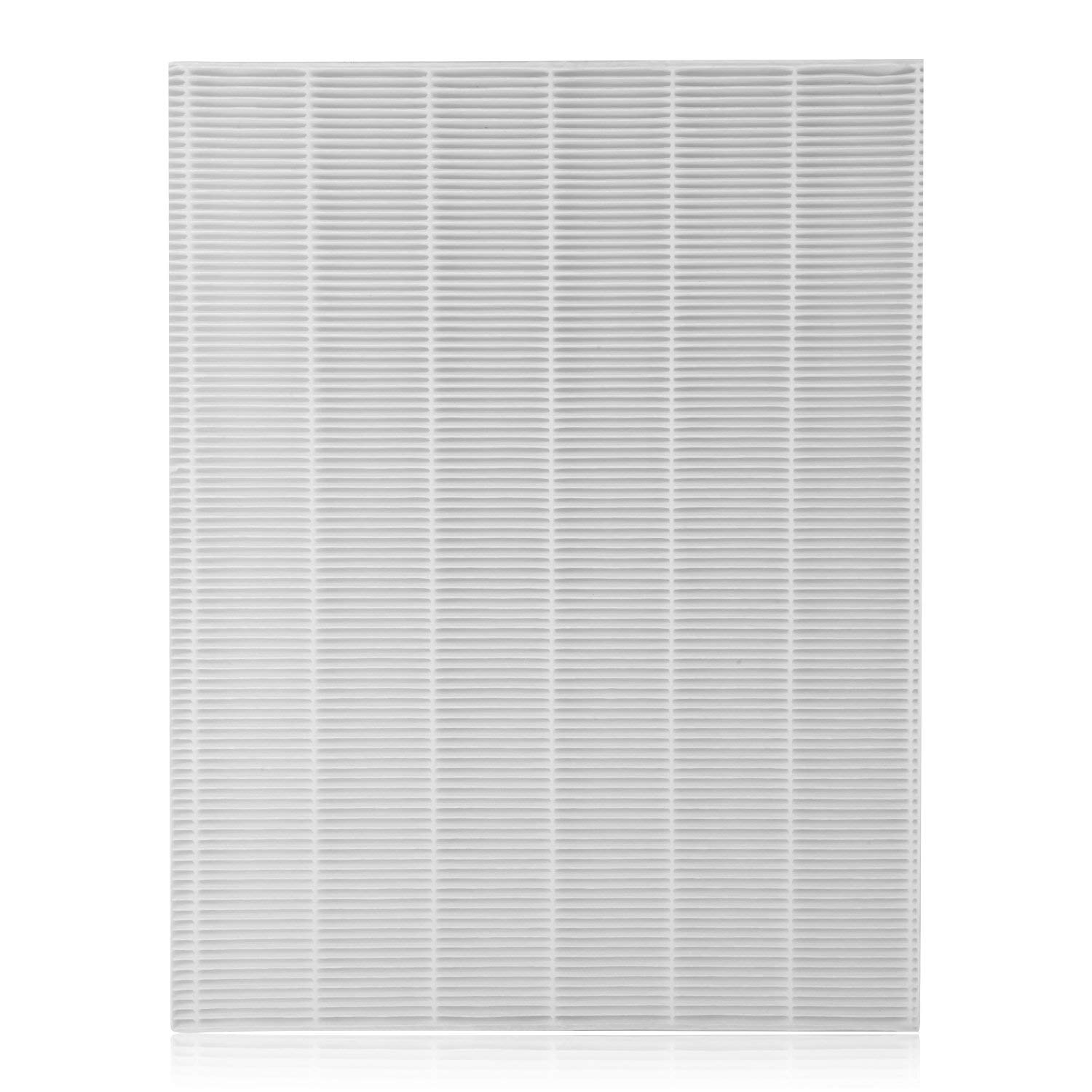 RONGJU 2 + 8 115115 C535 Replacement Filter A Size 21 Compatible with Winix PlasmaWave C535 5300 5300-2 5500 6300 6300-2 9000 9500 9800 P300 AM90
