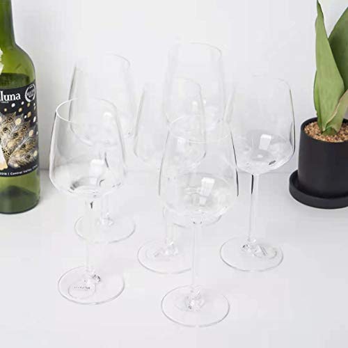 Classic14OZ Premium Quality Plastic Acrylic Stem Wine Glasses , Set of 6 -Clear, Dishwasher Safe, BPA Free (clear, 6)