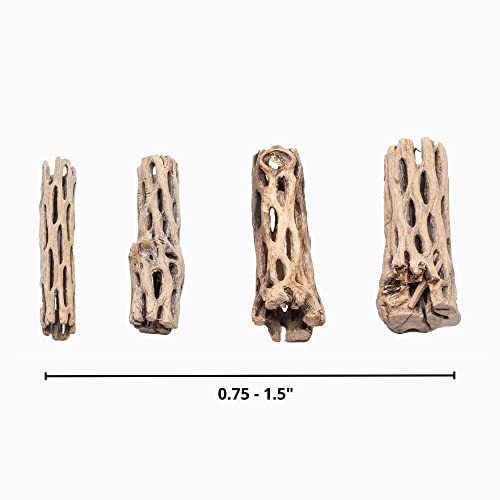 SubstrateSource Natural Cholla Wood Logs - Driftwood for Aquariums, Fish Tanks, Shrimp, Hermit Crabs, Reptiles - 4 and 6 Inch Pieces (4 Inch (3 Pack))