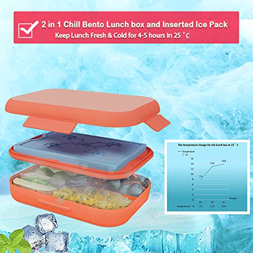Lunch Box Kids,Bento Box Adult Lunch Box Kid, Ponydash Lunch Containers for Kids with Ice Pack / 5 Compartments / Insulated Soft-Sided Lunchbag- Keeping Cool for 4-5 Hours, for Kids / Adult / Men