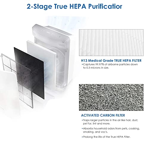 Flintar D360 H13 True HEPA Replacement Filter D3, Compatible with Winix D360 Air Purifier, H13 Grade True HEPA and 4 Activated Carbon Filters, Item Number 1712-0101-02, D3 Filter
