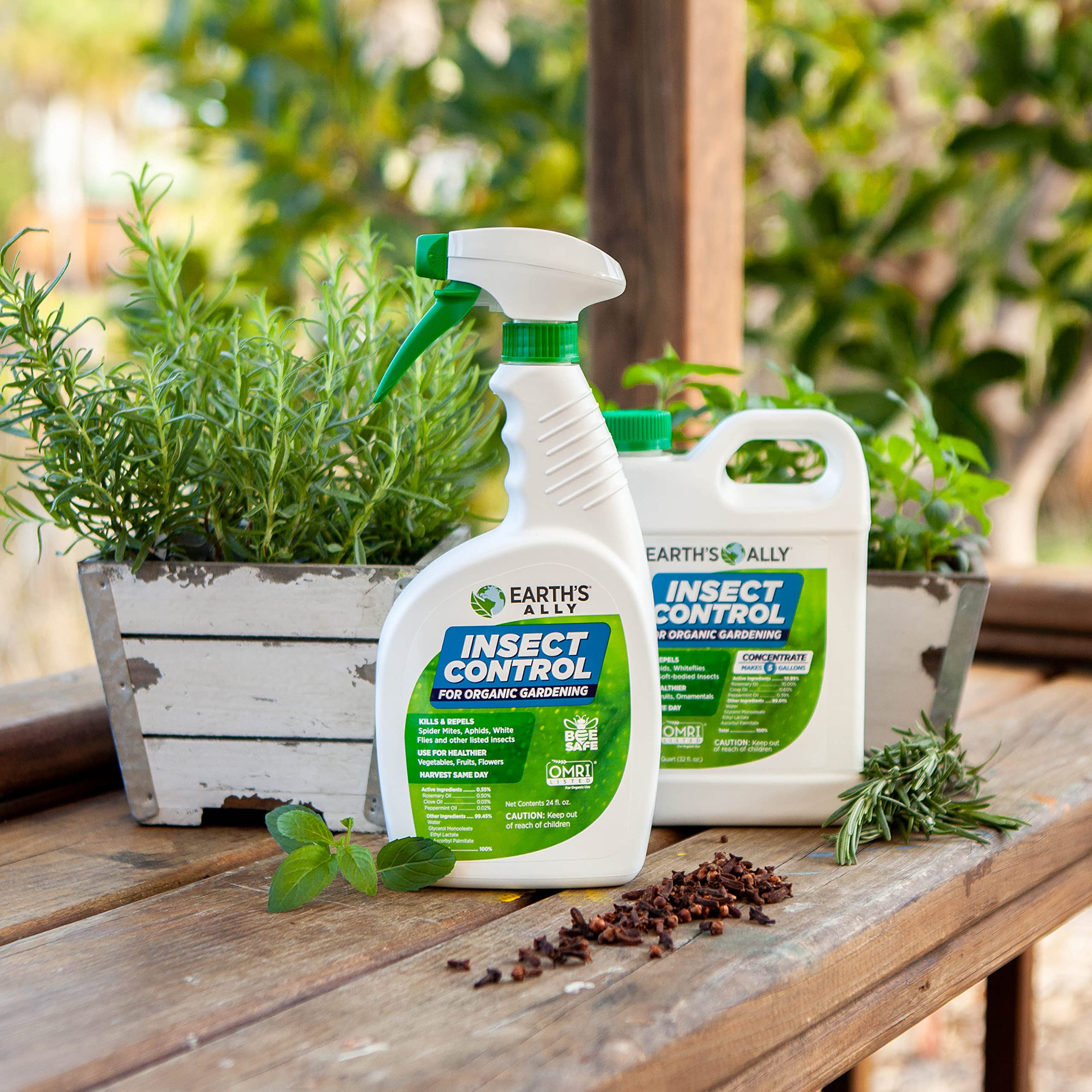 Earth's Ally Insect Control for Plants | Safe Outdoor & Indoor Plant Insecticide, Spider Mite, Aphid & Mealybug Killer - Effective Spray for Organic Garden & Household Plants, Ready-to-Use, 24oz