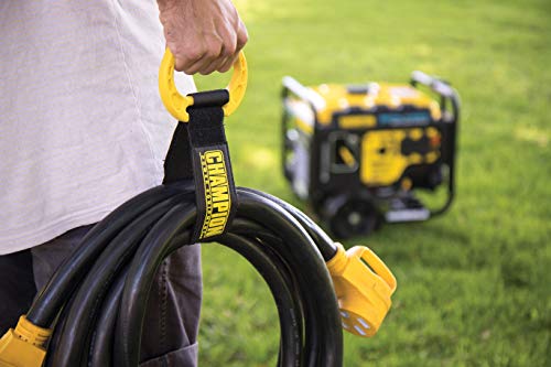 Champion Power Equipment 100690 Heavy Duty Hook and Loop Storage Strap, Black