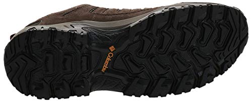Columbia Men's Lakeview II Low, Cordovan/Mud, 10
