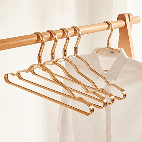 FSYSM Clothes Hangers 10pcs Aluminium Alloy Coat Hangers Anti-Slip Seamless Metal Drying Rack Wardrobe Organizer (Color : B, Size : 10pcs)