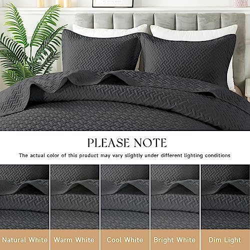 HYLEORY Quilt Set King Size - Soft Lightweight Quilts Summer Quilted Bedspreads - Reversible Coverlet Bedding Set for All Season 3 Piece (1 Quilt, 2 Pillow Shams) - Dark Grey