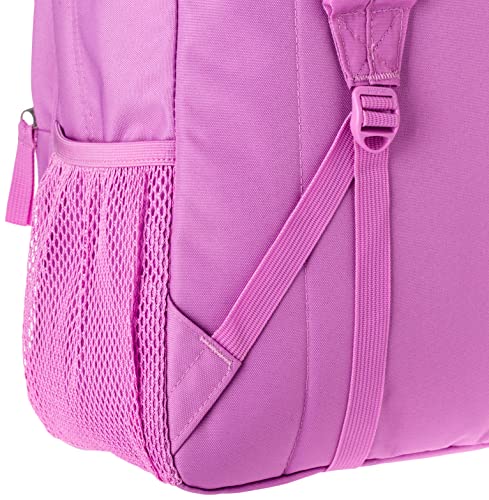 JanSport JS0A4NVC7S4 Union Pack Purple Orchid
