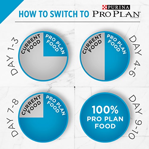 Purina Pro Plan Urinary Tract Cat Food, Chicken and Rice Formula - 22 lb. Bag