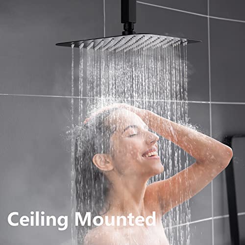 Esnbia 12" Rain Shower Head, Stainless Steel Rainfall Ceiling Mount Shower Head, 2.5 GPM Water Flow, Matte Black (Shower Arm NOT Include)