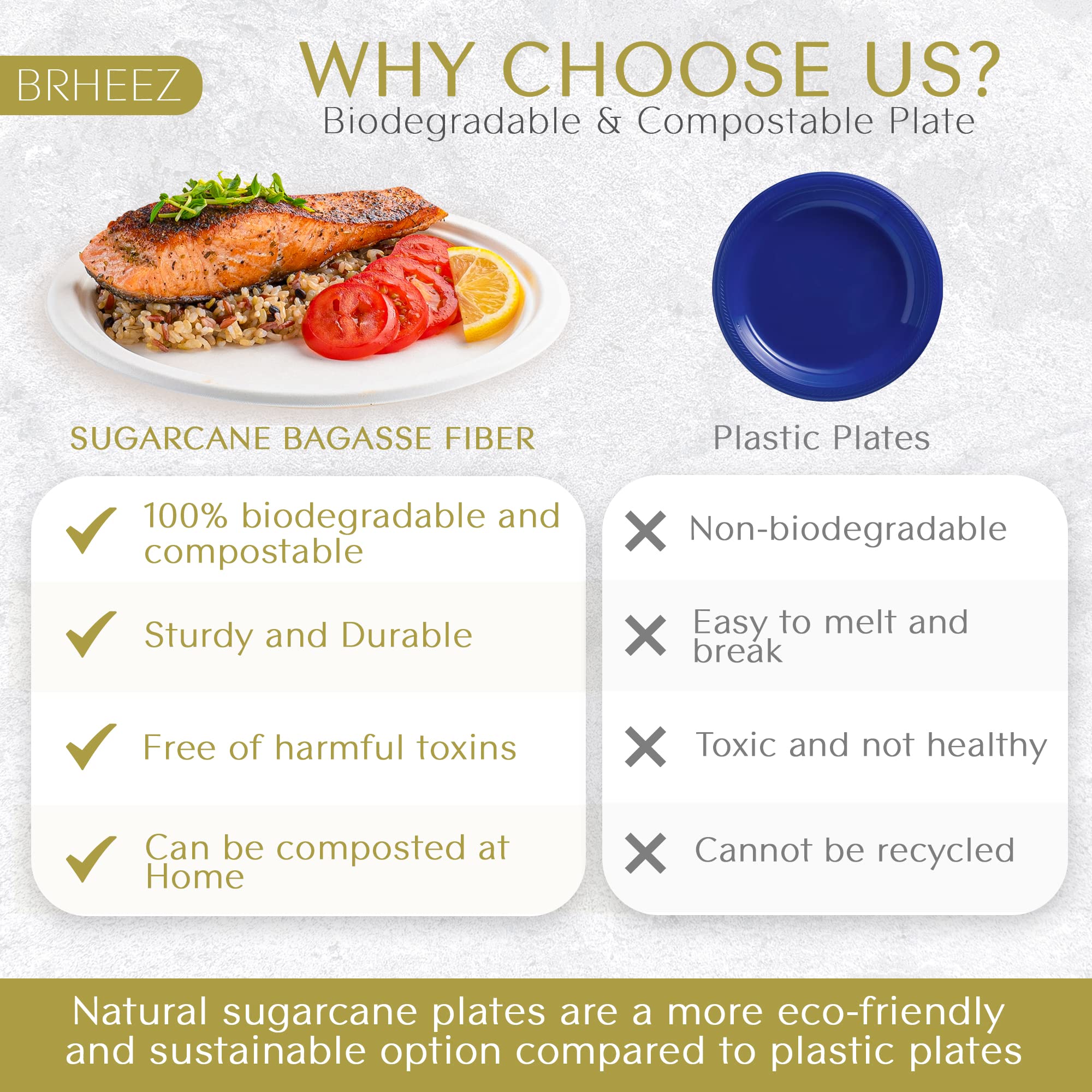 brheez 10 in. Disposable Plates Paper Plates Alternative Compostable Plates Heavy Duty [Pack of 60] Eco-Friendly 100% Natural Sugarcane Bagasse Fiber Biodegradable