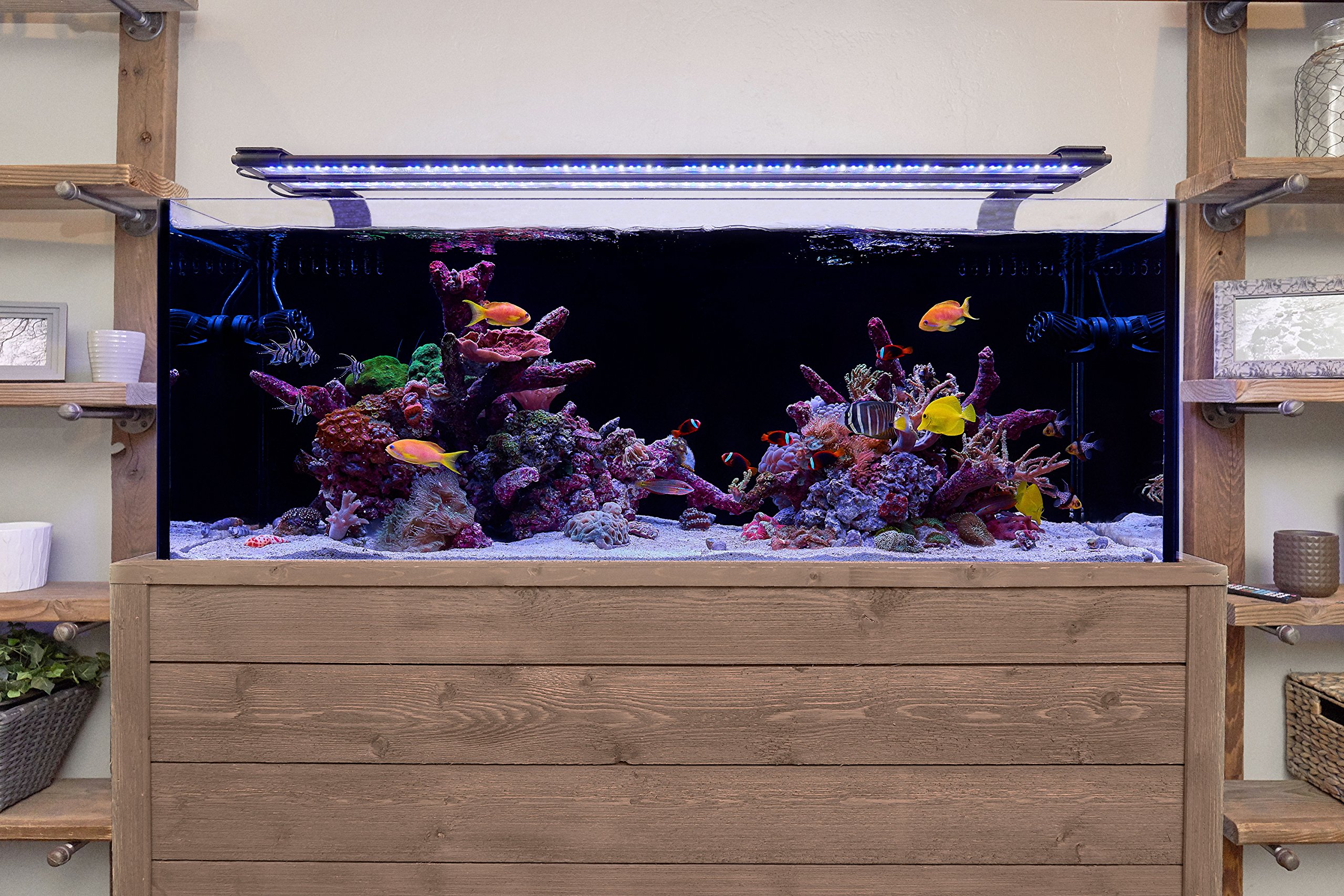Current USA 36-48" Inch Orbit Marine LED Saltwater Reef Marine Aquarium Light | 24 Hour IR Lighting & eFlux Wave Pump Control | Adjustable Color Spectrum for Fish Tank (4102)